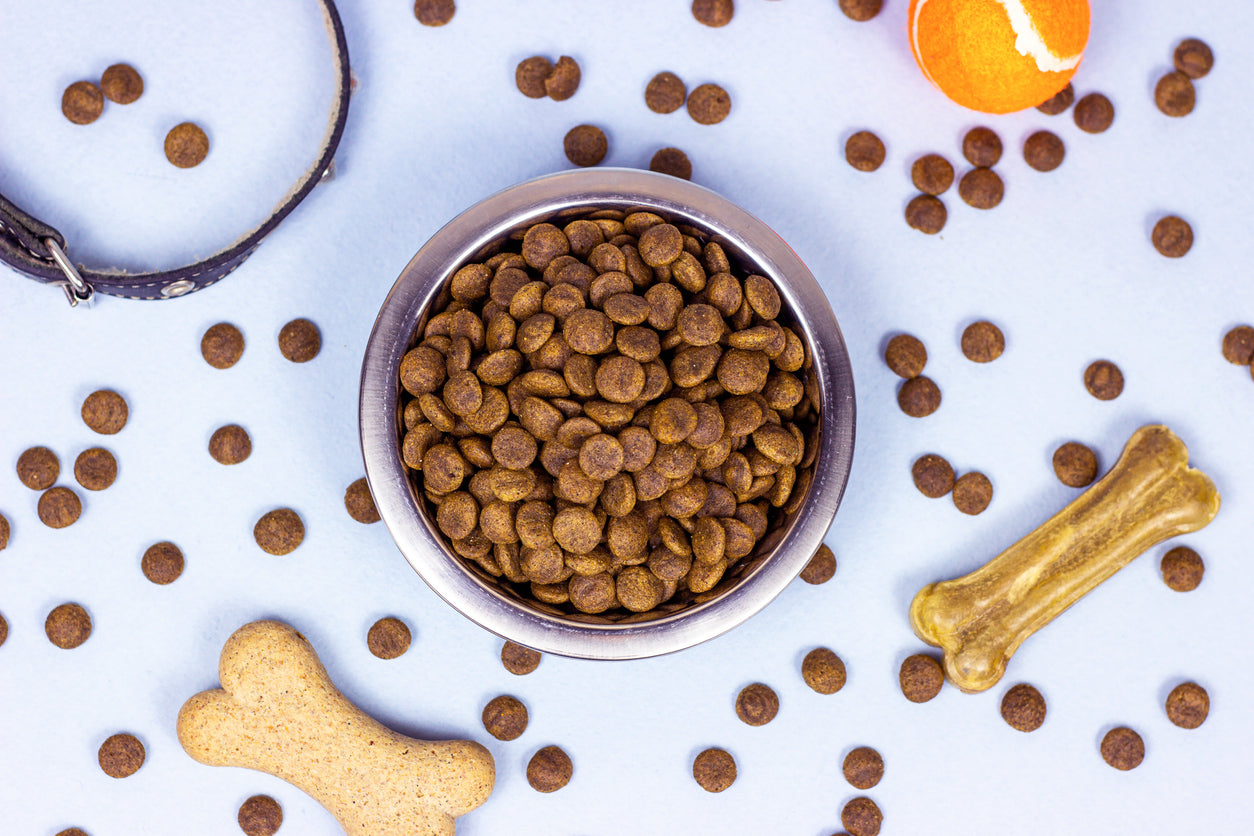 Dry Dog Food – Creature Comforts Glasgow