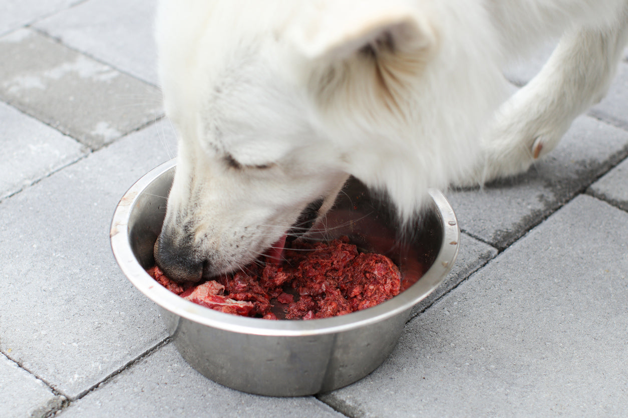 Wet Dog Food – Creature Comforts Glasgow